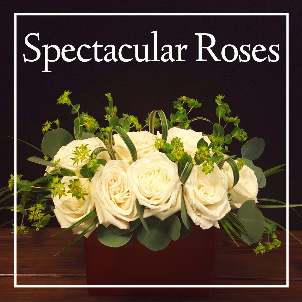 Spectacular Roses - Wonderland Floral Art