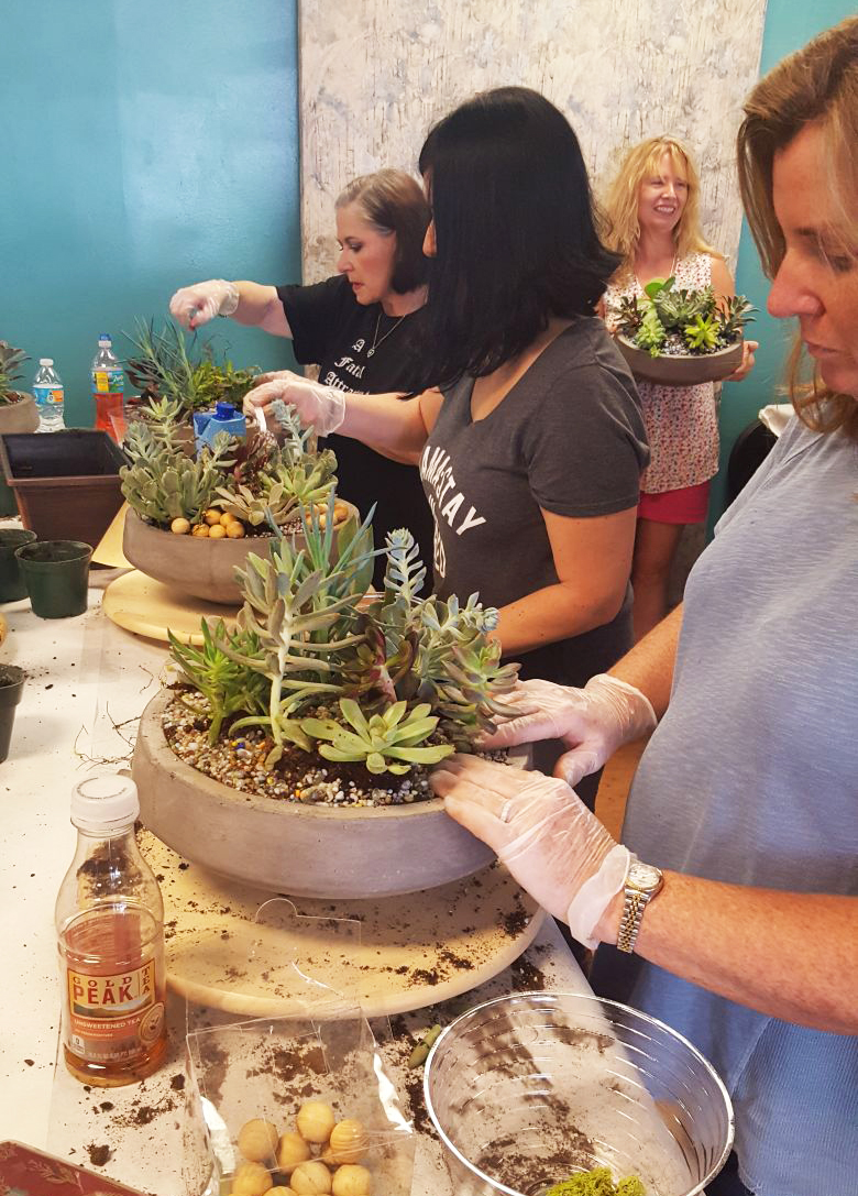 Magical Succulents - Wonderland Floral Art